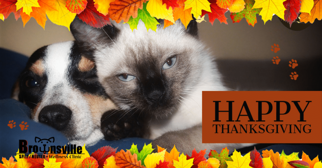 Thanksgiving Pet Safety Tips – Brownsville Spay Neuter Clinic